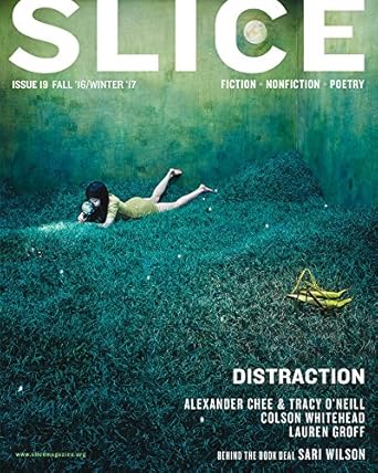Slice Issue 19: Distraction (Slice Magazine) - Kindle edition by Slice ...