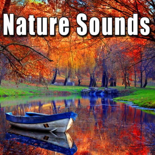 Nature Sounds by Sound Ideas on Amazon Music - Amazon.co.uk