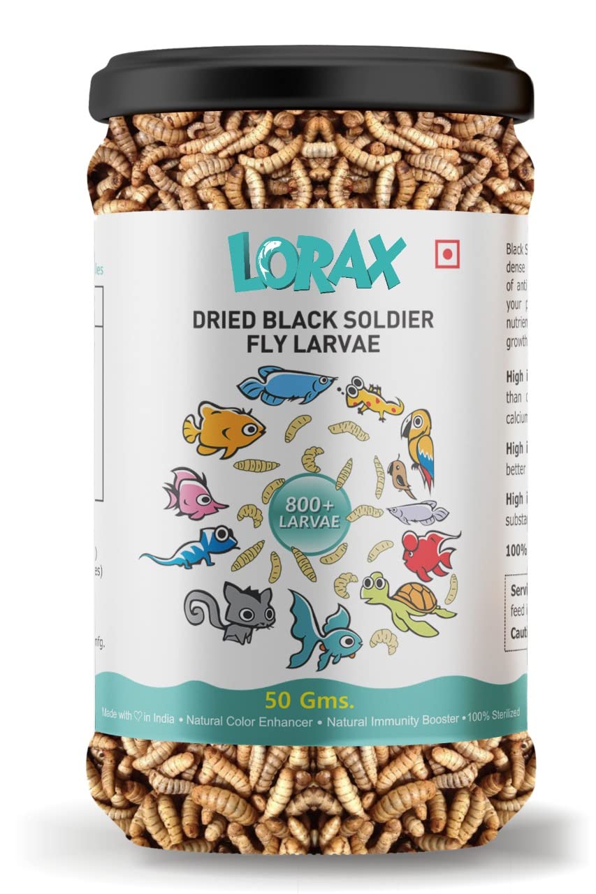 Buy Lorax Fish Food Black Soldier Fly Larvae Dried More Calcium Than ...