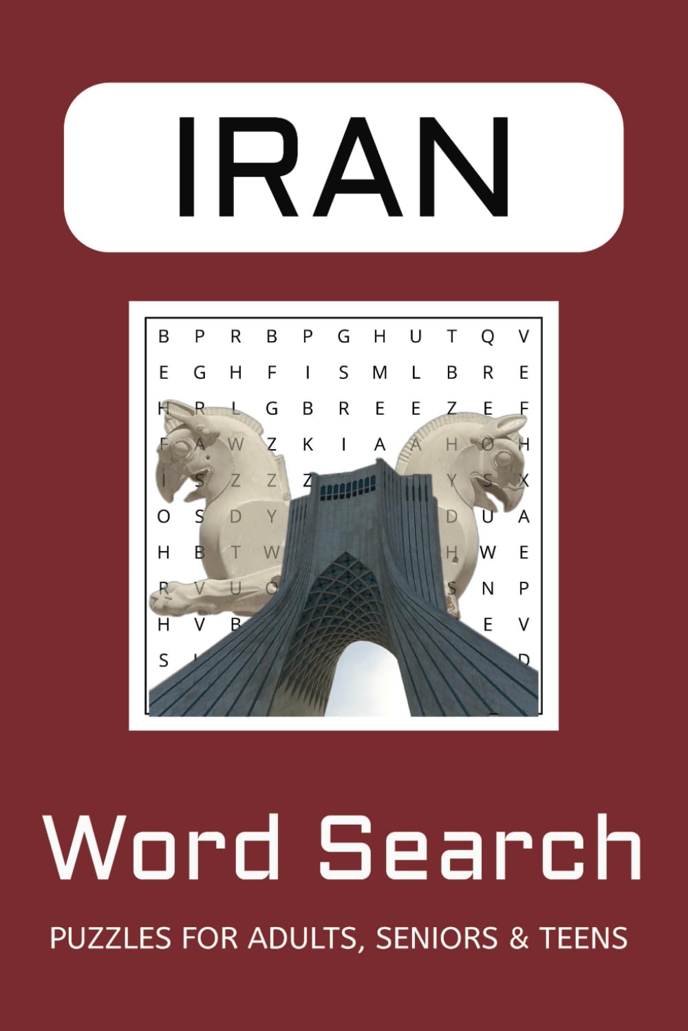 Iran Word Search Puzzle Book: Word Searches with Easy to Read Print ...