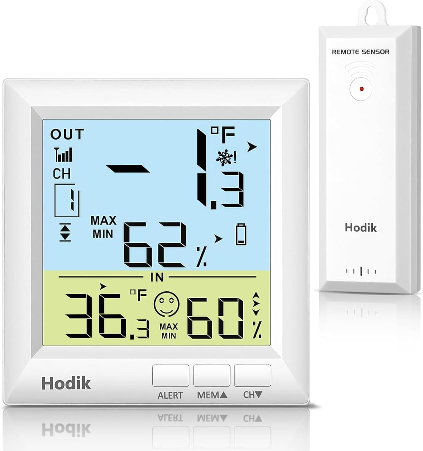 Amazon.com: Wireless Freezer Thermometer with Alarm Refrigerator ...