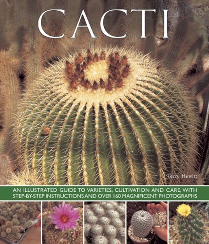By Terry Hewitt Cacti: An Illustrated Guide To Varieties, Cultivation ...
