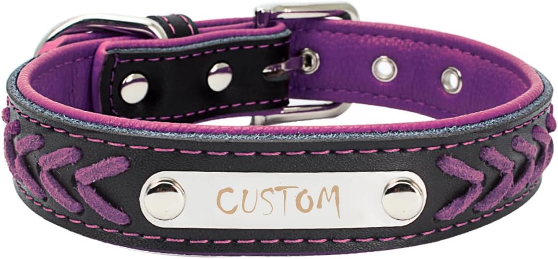 Amazon.com : Custom Braided Leather Dog Collars Engraved with ...