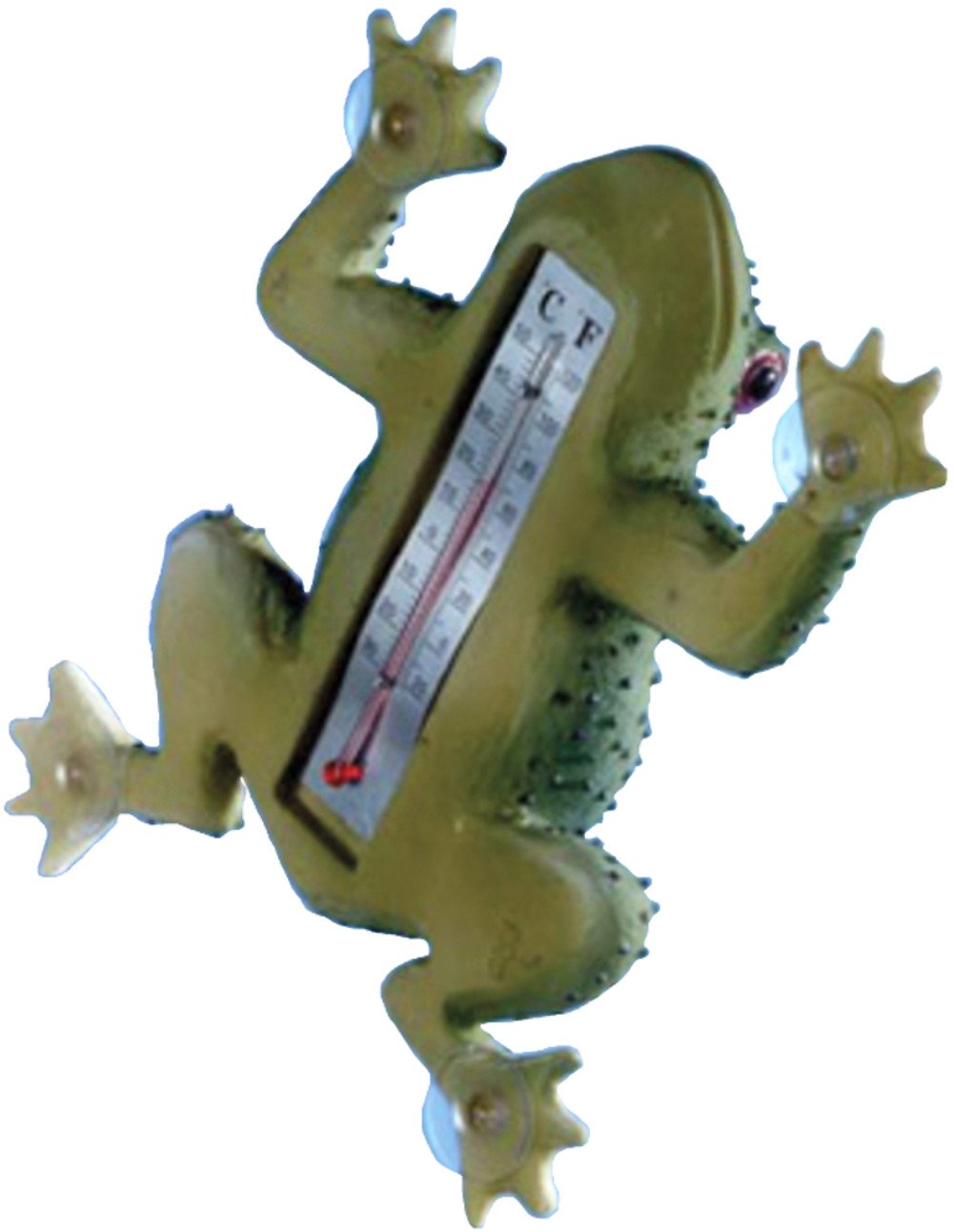 Amazon.com : New Frog Window Thermometer with Suction Cups NIP ...