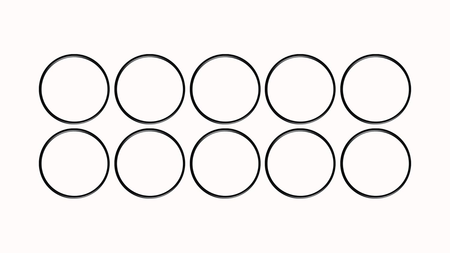 Sterling Seal ORTEVT110X10 110 Teflon Encapsulated O-Ring, FEP/TFE ...
