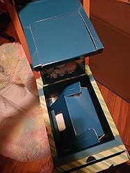 Amazon.com: Pokemon TCG: PALDEA Adventure Chest : Toys & Games