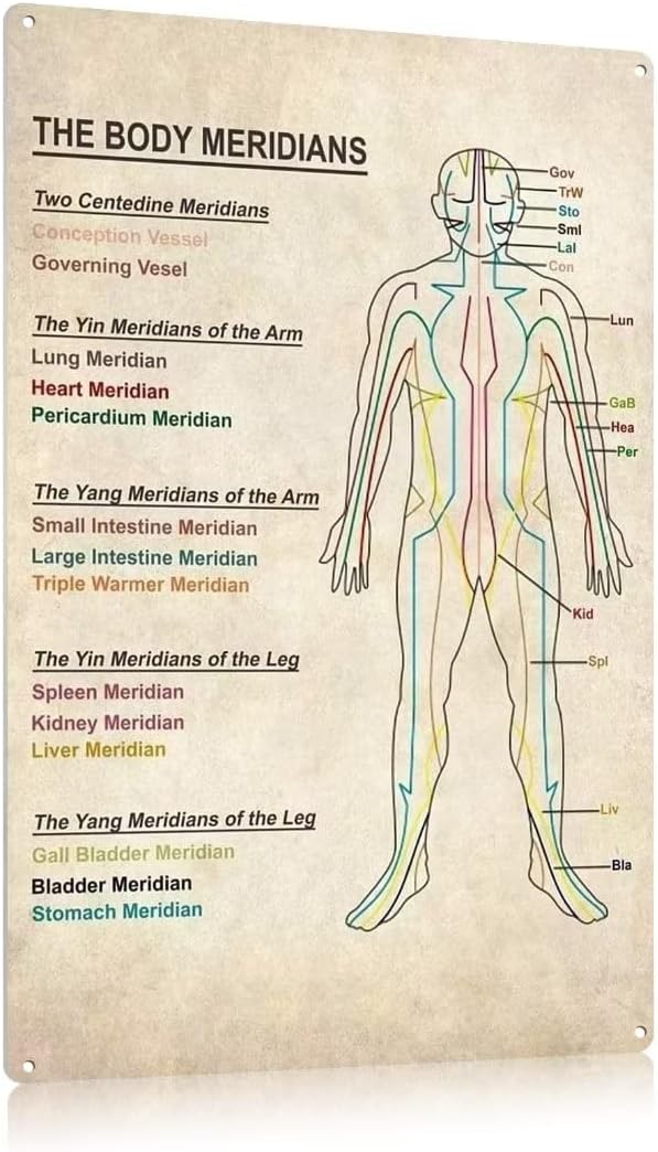 Amazon.com: FEBIOAW The Body Meridians Knowledge Poster Therapy Foot ...