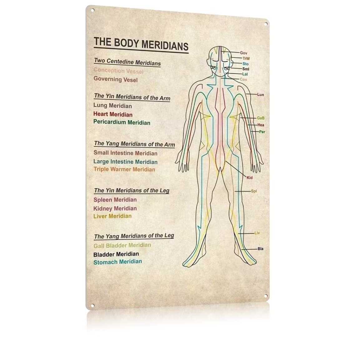 FEBIOAW The Body Meridians Knowledge Poster Therapy Foot Reflexology ...