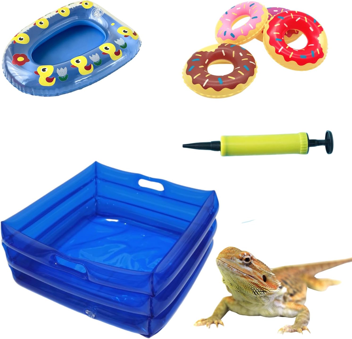 Amazon.com: Bearded Dragon Swimming Pool with Inflatable Float Set ...