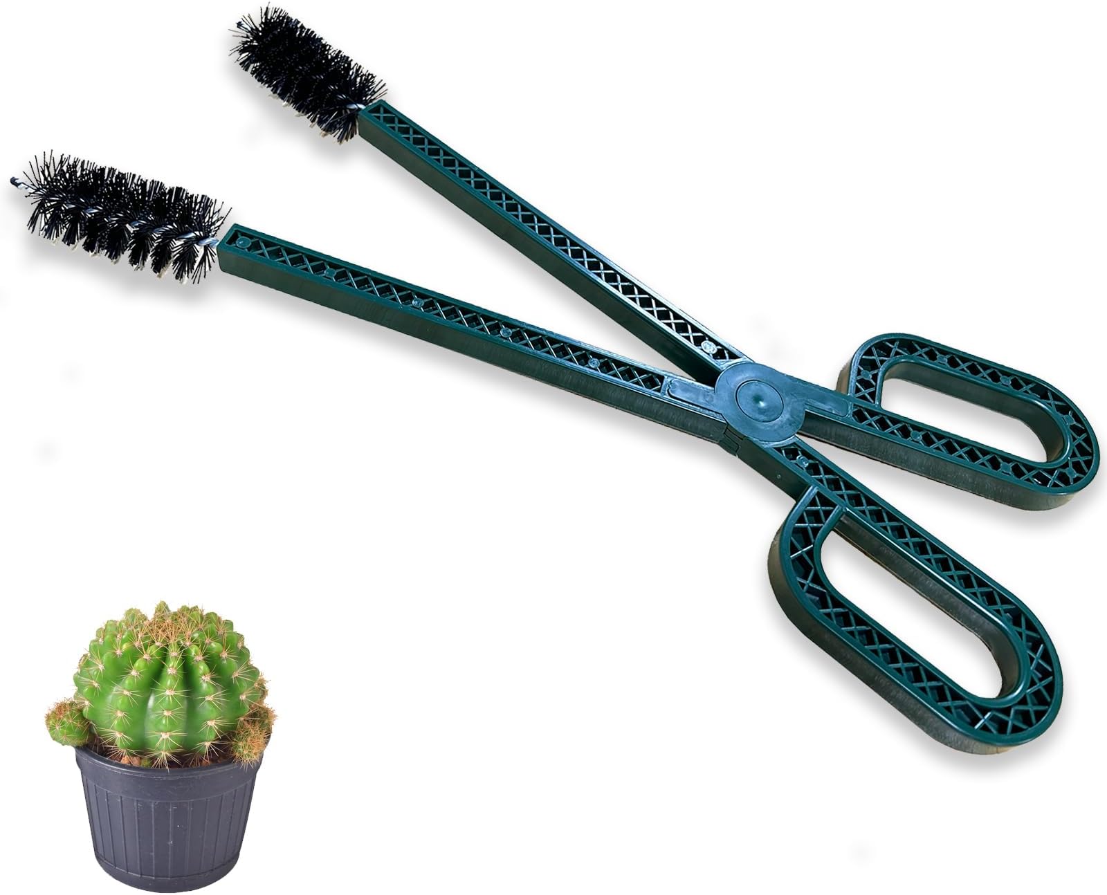 Amazon.com : Garden Cactus Pliers Plastic, Hand Transplanting ...