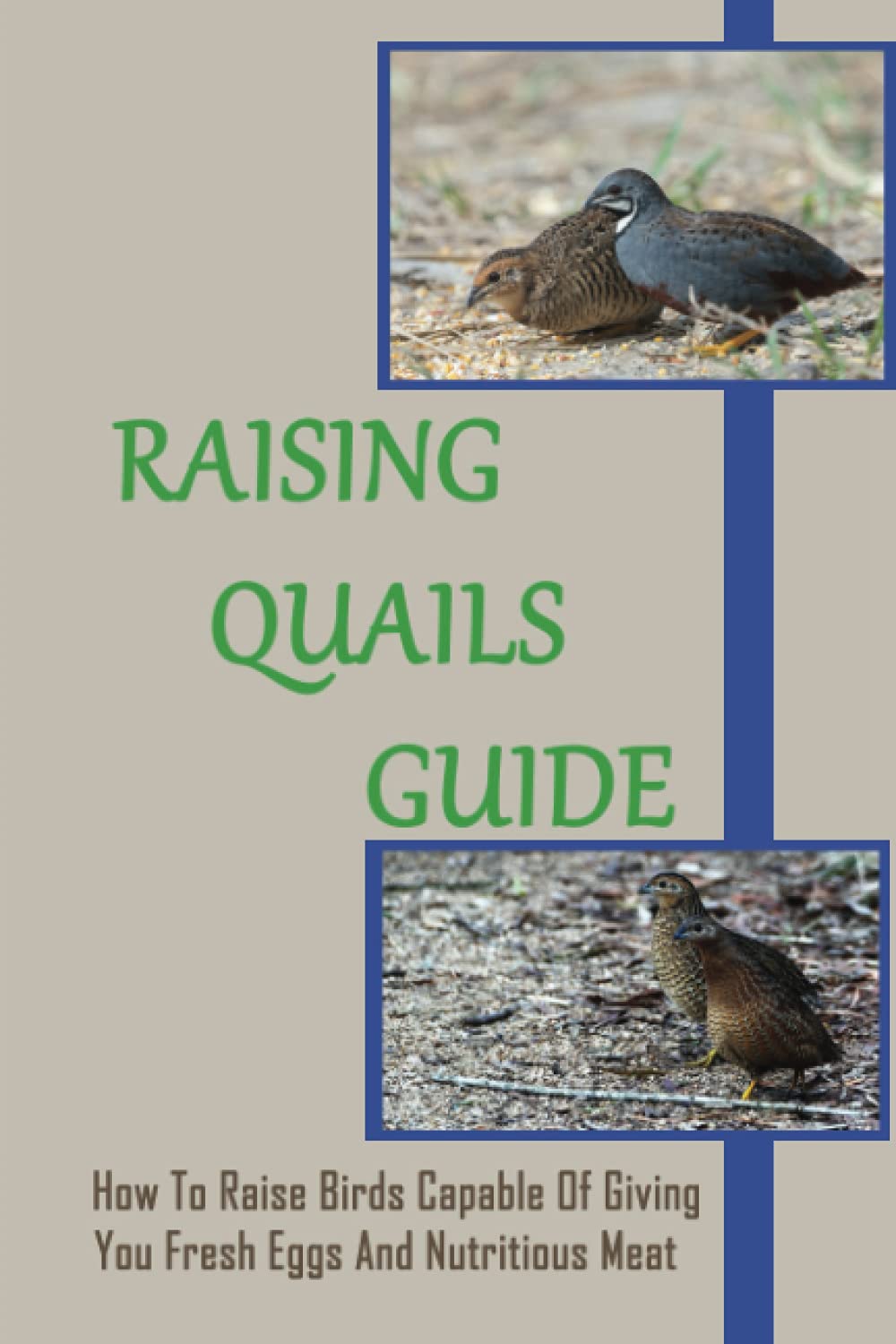 Raising Quails Guide How To Raise Birds Capable Of Giving | Desertcart ...