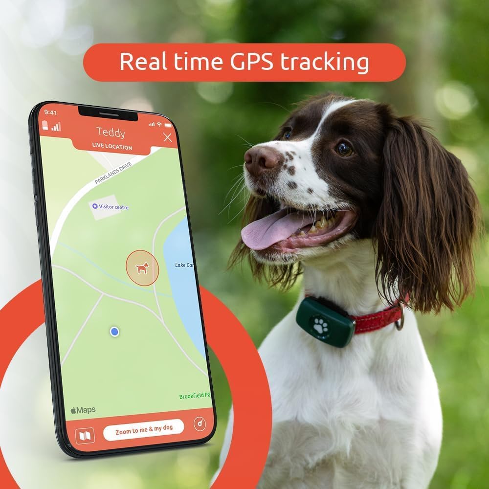 GPS Tracker for Dogs - No Subscription Fees - Suitable for All Dogs and ...