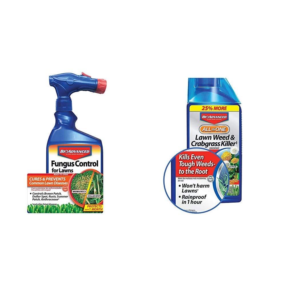 Buy BioAdvanced Fungus Control for Lawns, Ready-to-Spray, 32 oz & All ...