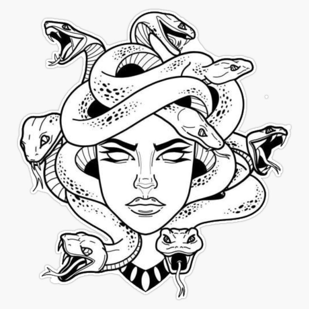 Amazon.com: Medusa Bumper Sticker Vinyl Decal 5" : Sports & Outdoors