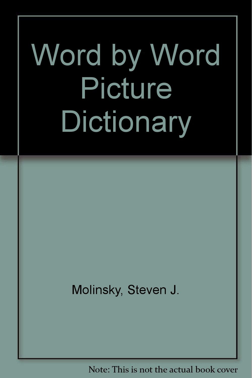 Word by Word Picture Dictionary: Amazon.co.uk: Molinsky, Steven J ...