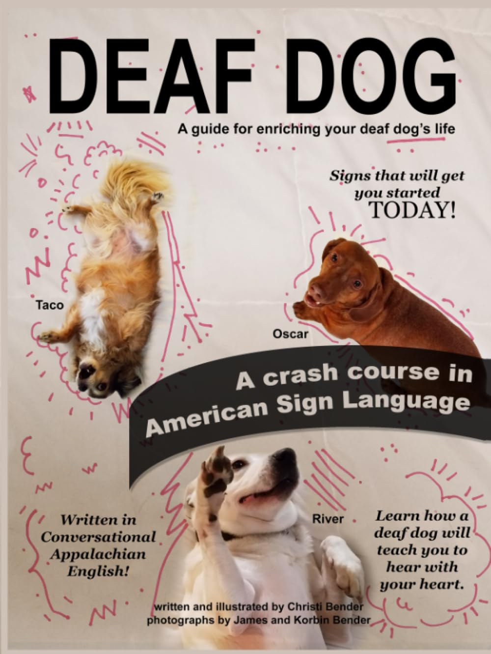 Ist Sign Language Dog Deaf Dog Learning To Understand Sign Language