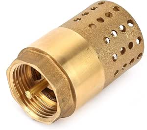 Amazon.com: Jadeshay Check Valve One Way Female Thread Foot Valve Mesh ...