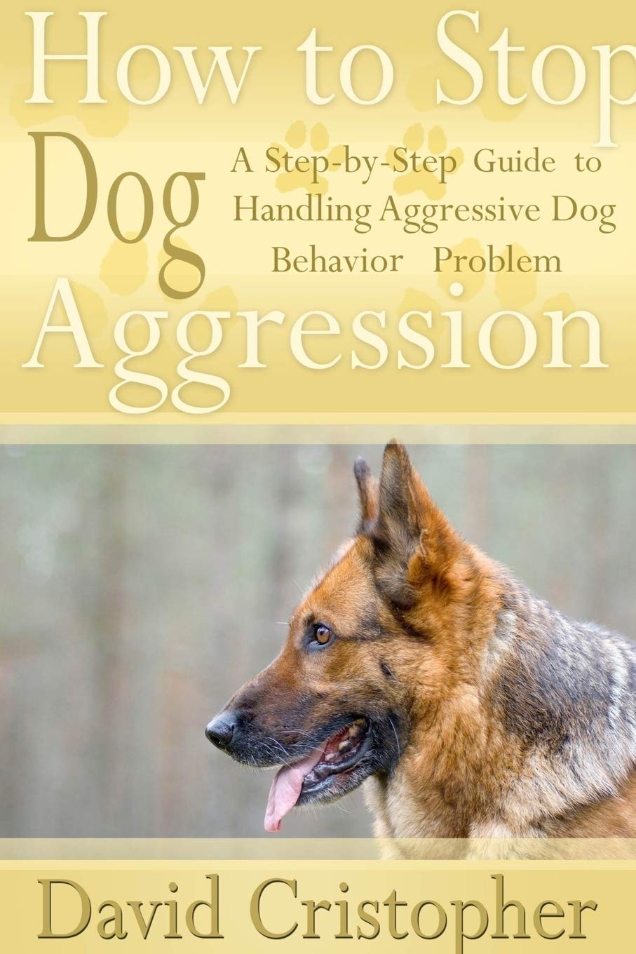 How To Stop Aggressive Dog Behaviour