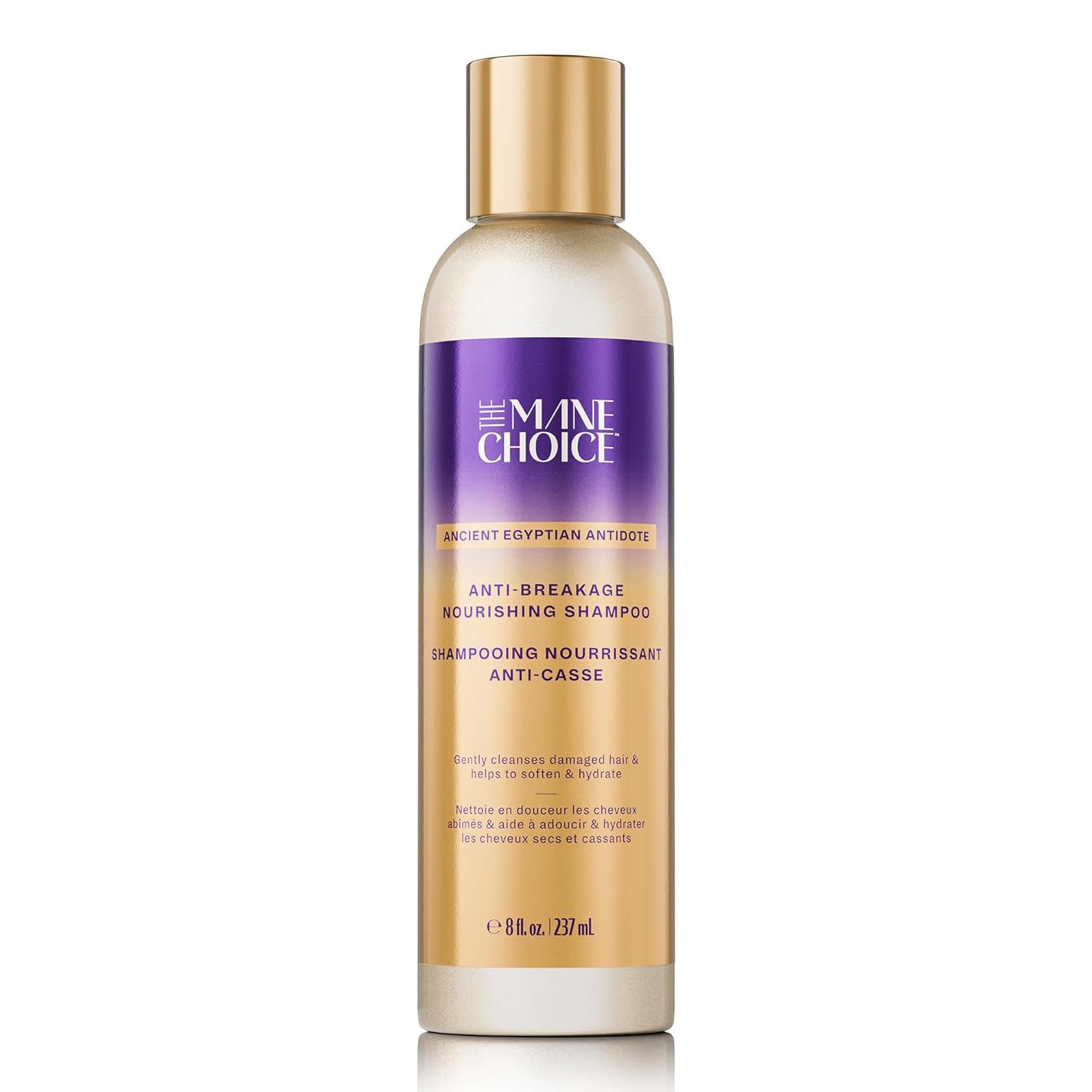 Amazon.com : The Mane Choice Ancient Egyptian Anti Breakage Shampoo, 8 ...
