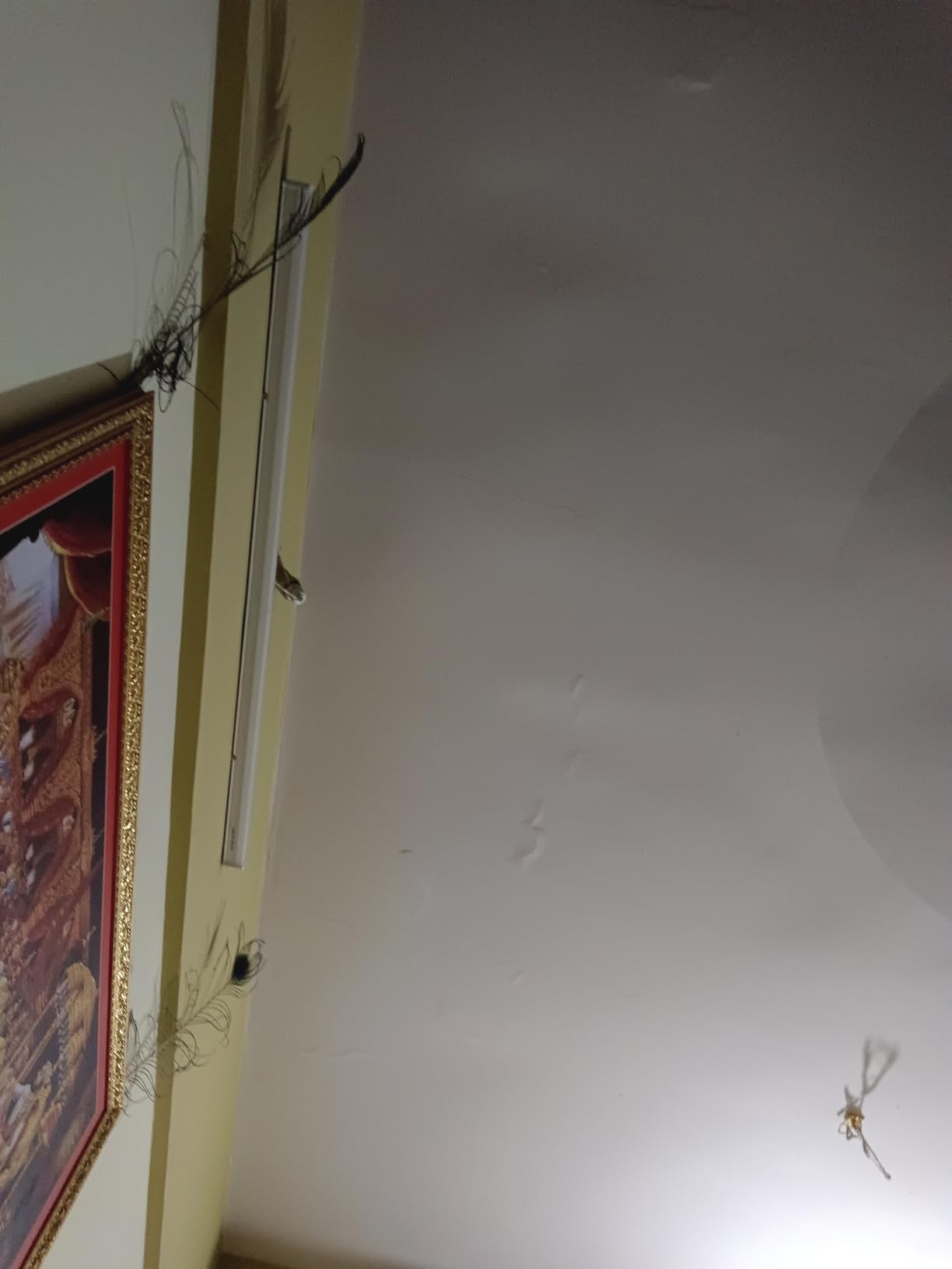 Crompton Laser Ray Neo 3-in-1 20 W Batten (Pack of 4) : Amazon.in: Home ...