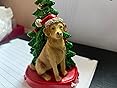 Amazon.com: Kurt S. Adler Yellow Lab Labrador Wearing Santa Hat with ...