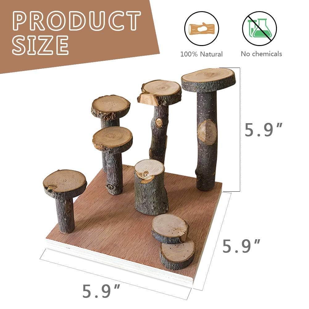 Snapklik.com : Hamster Climbing Wooden Stand Platform, Hamster Cage ...