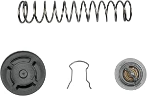 Amazon.com : Pool Heater Thermal Regulator Replacement for 77707-0010 ...