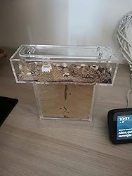 AntHouse - Formicaio Naturale di Sabbia | Kit T Acrilico 15x15x1,5 cm ...