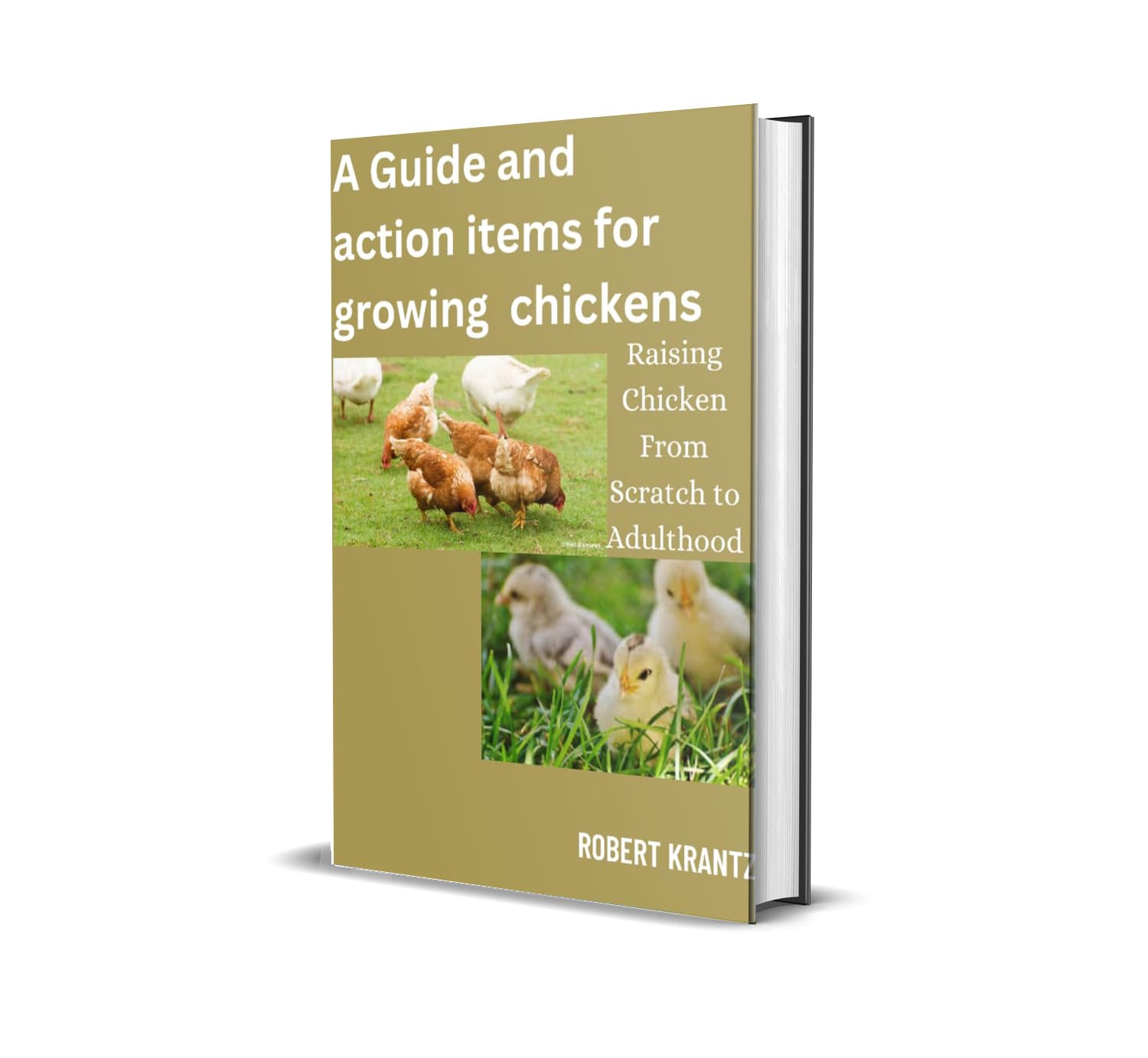 A guide and action items for growing chickens : Raising chickens from ...