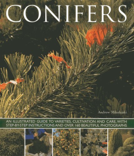 Conifers: An Illustrated Guide to Varieties, Cultivation and Care, with ...