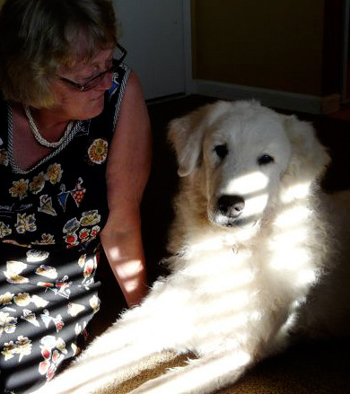 Amazon.com: Nancy Bernard: books, biography, latest update