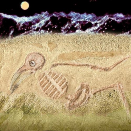 Play Heaven or Hell or Wherever by Chris Schoen on Amazon Music