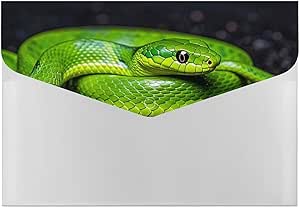 The Green Snake File Folder for Work File Organizer with 6 Pockets ...