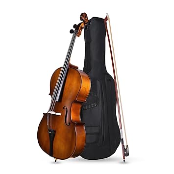 Kadence Full-Size Cello, Acoustic Cello Kit with Portable Bag, Bow ...