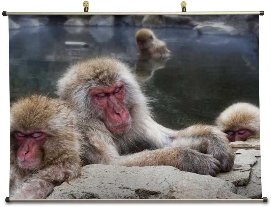Amazon.com: japanese snow monkeys chillin' in hot springs - Canvas Wall ...