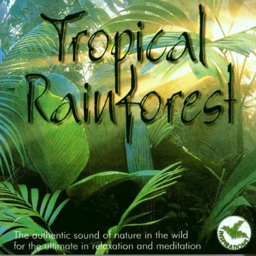 Tropical Rainforest: Amazon.co.uk: CDs & Vinyl