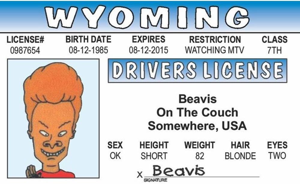 Amazon.com: Signs 4 Fun Parody Driver’s License | WY - Beavis ID | Fake ...