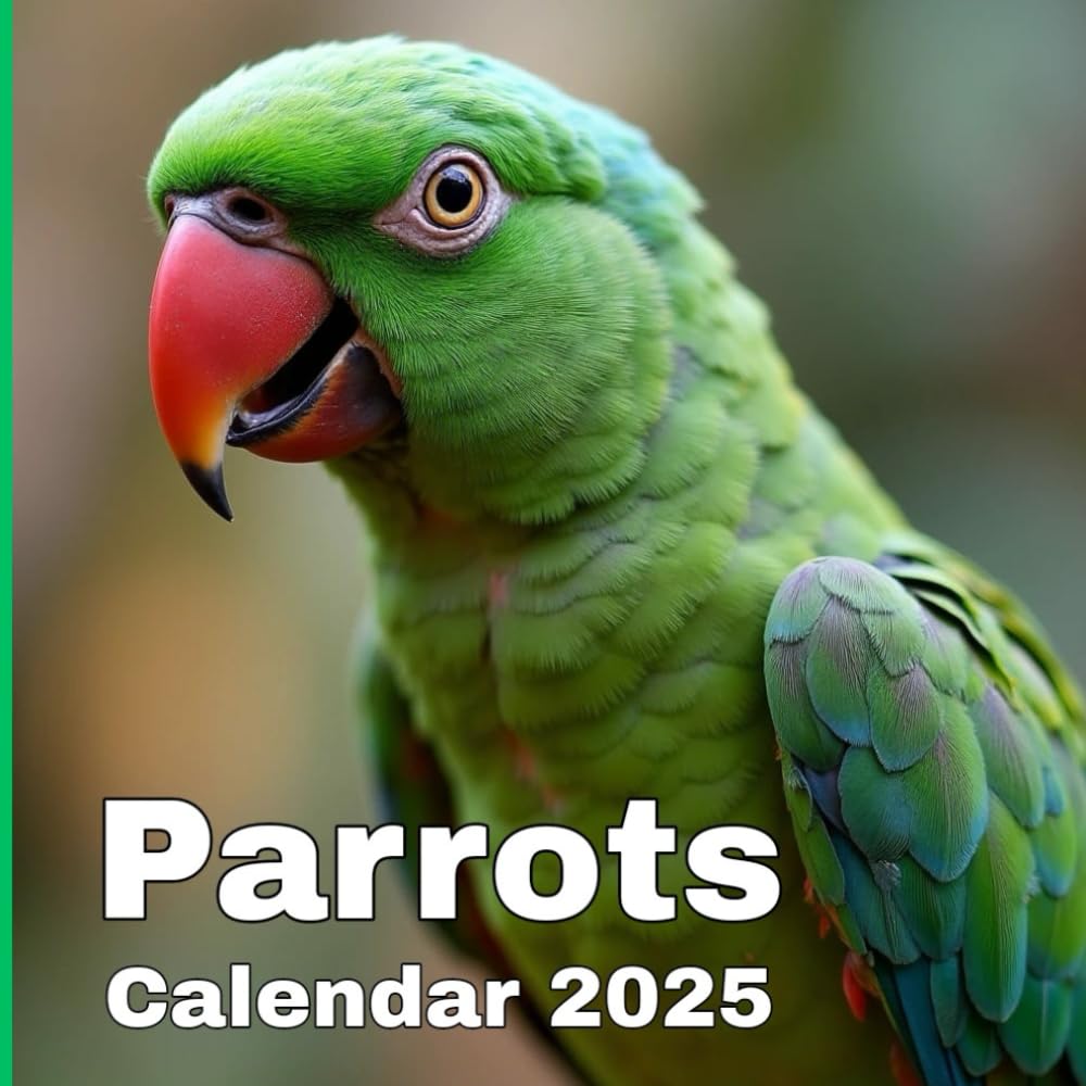 Parrots Calendar 2025: A gift for parrot lovers: Touri, Moha: Amazon ...