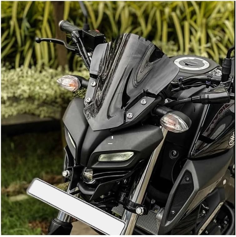 Aow Attractive Offer World Bubble Visor Glass/Windscreen Compatible for ...