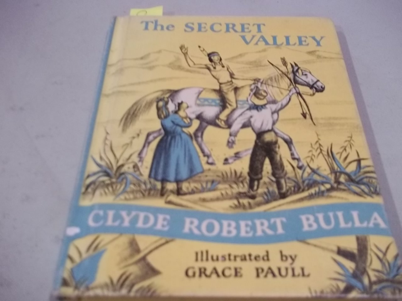 The Secret Valley: Bulla, Clyde Robert: 9780844669977: Amazon.com: Books
