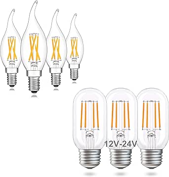 12V Low Voltage LED Light Bulbs - Soft Warm 2700K(Only for 12V-24V DC ...