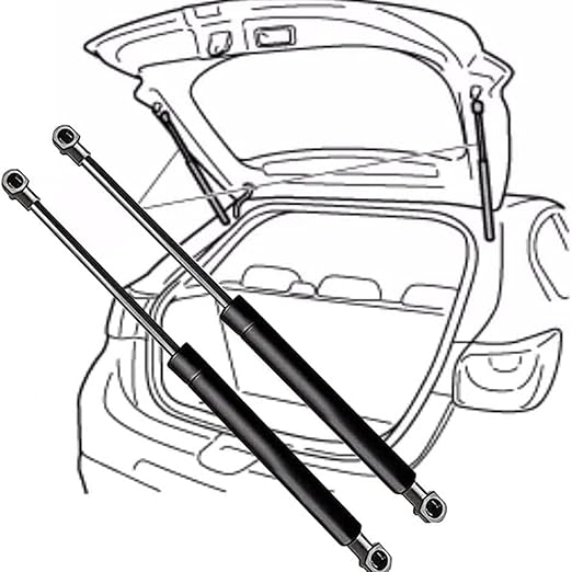 Heckklappen-Gasdruckfedern für BMW X5 (F15, F85) 2013-2018(No ...