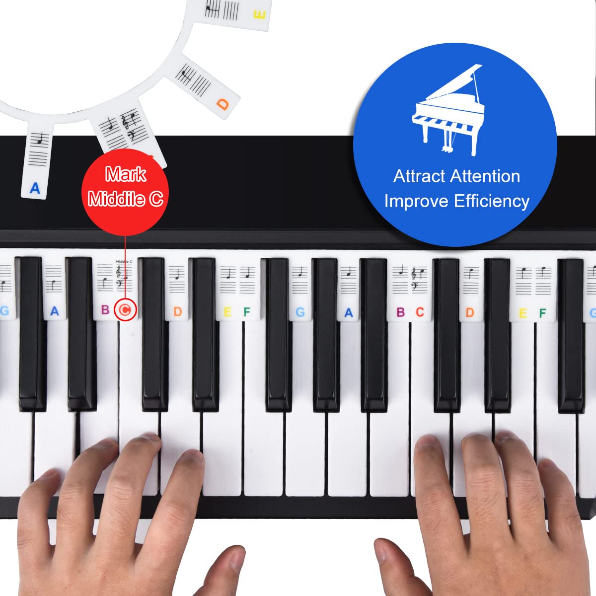 Snapklik.com : Removable Piano Key Stickers Labels For Beginners Kids