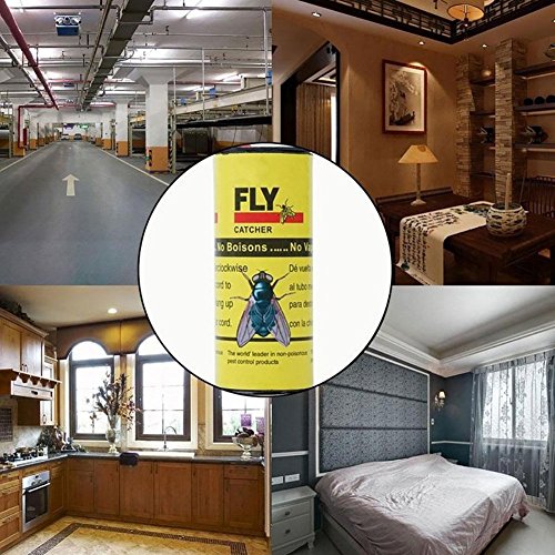 xbwwt Fly Sticky Paper Strip Mosquitos Killer Catcher Flying Insect ...