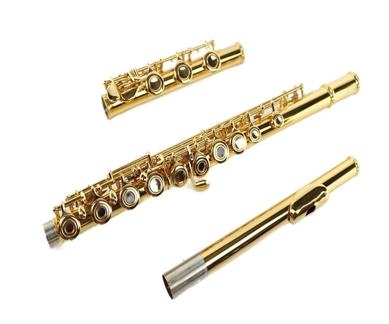 Cecilio Flute TOP Silver Gold Plated Flute C Tone B Foot 17 Open Hole ...
