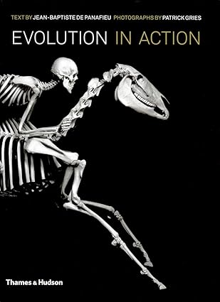 Evolution in Action 2nd ed. /anglais: DE PANAFIEU/GRIES: 9780500515983 ...