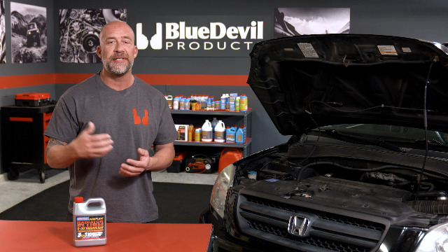 Snapklik.com : BlueDevil Products 00203 Radiator Flush & Oil Degreaser