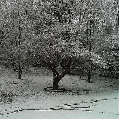 The Good Part of Guessing [Explicit] by Kaplan Hasanoglu on Amazon ...