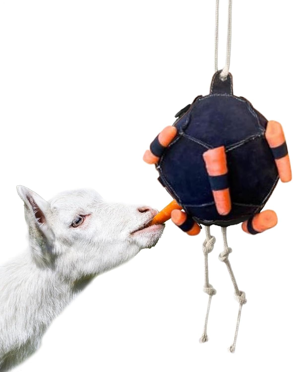 Horse Enrichment Toys,Horse Slow Feeder Ball | Slow Feed Carrot Equine ...
