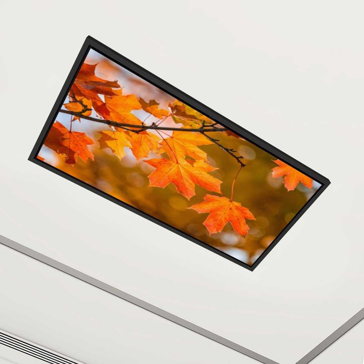 EXLOJMWTPOR 4 Pack Fluorescent Light Covers Autumn Decorative Magnetic ...